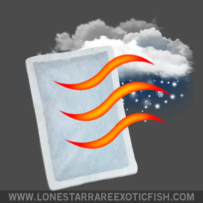 Add Heat Pack for Sale Online | Live Freshwater Tropical Fish